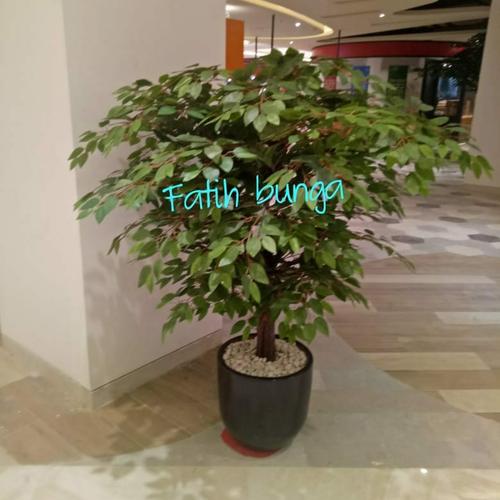 Jual POHON BERINGIN 2M/BUNGA PLASTIK/BUNGA HIAS/ARTIFICIAL TANAMAN HIAS ...