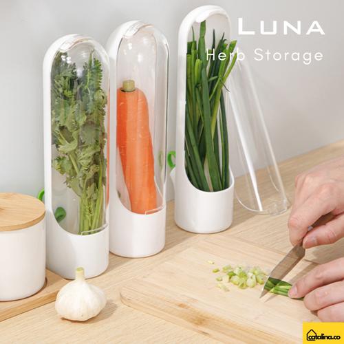 Jual CATALINA Herb Saver Botol Storage Tempat Simpan Daun Seledri ...