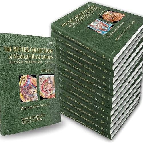 Jual [Full Color] Netter Collection of Medical Illustration - Vol 8 ...