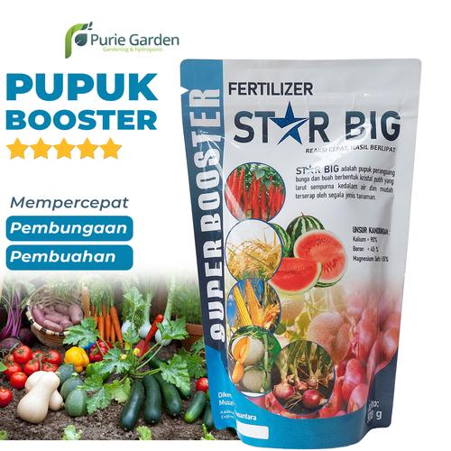 Promo Pupuk Booster Pembuahan & Pembungaan Star Big 500gr PG KDR - Kab ...