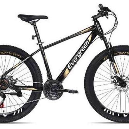 Promo Sepeda Gunung MTB 27.5 Evergreen Discbrake 575 - Jakarta Timur ...