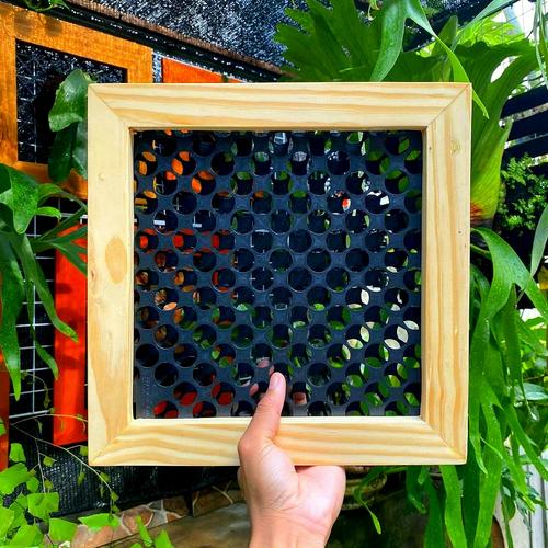 Jual Frame Platycerium / Drainase / Bingkai Tanam Tanaman / Frame ...