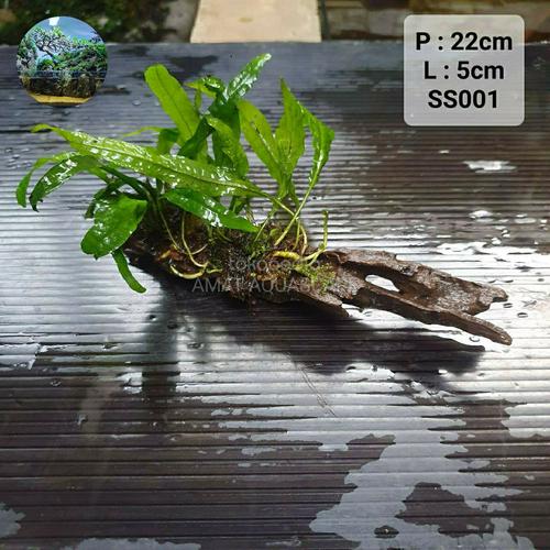 Jual HARDSCAPE AQUASCAPE KAYU RENTEK KADAKA 2 | Drifwood Aquarium ...