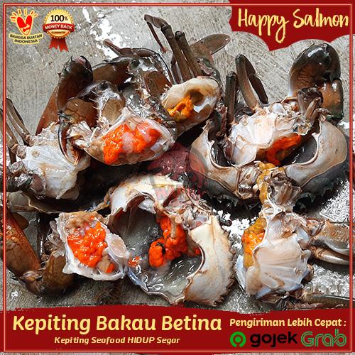 Jual Kepiting Telor Telur 1kg 2-3ekor/Kepiting Bakau Betina Seafood ...