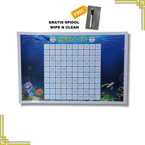 Jual Poster Edukasi Belajar Angka Anak TK PAUD Wipe Clean Bisa ...