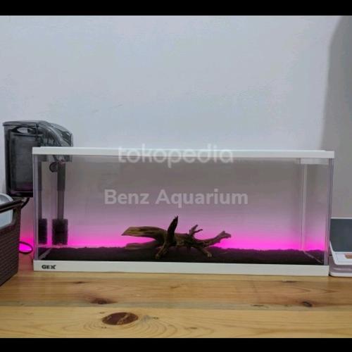 Promo Aquarium 60 Cm GEX Akuarium Slim 60 cm - GEX 60x17x25 cm - Kota Depok - Benz Aquarium ...