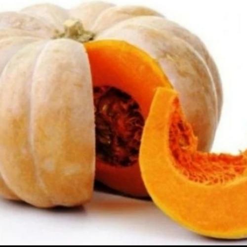 Jual Labu kuning,labu parang,waluh buah herbal kaya manfaat - Jakarta ...