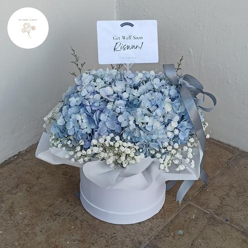 Jual Hydrangea Babybreath Bloombox Bouquet Bucket Buket Bunga Segar ...
