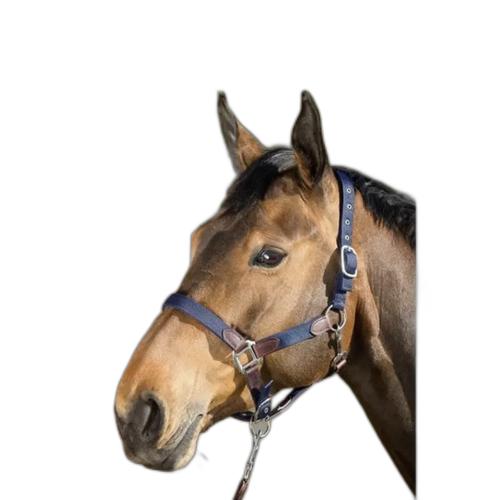 Jual HFI Smart Halter with rope tali tuntun kuda horse size COB ...