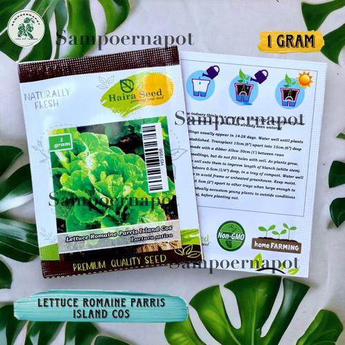 Promo Benih Bibit Selada Green Romaine Parris Island Cos Haira Seed ...