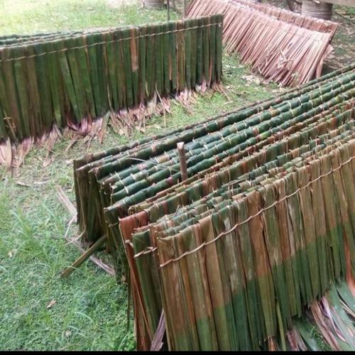 Jual atap daun rumbia - atap rumbia - atap dahon - atap daun kirai ...
