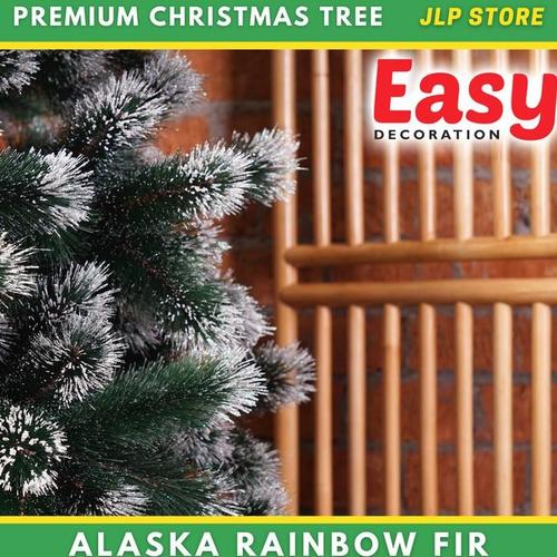 Jual Pohon Natal Premium 2.5 Meter / 8Ft Alaska Rainbow Fir Christmas ...