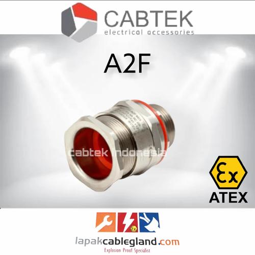 Jual Cable Gland Explosion Proof CABTEK 20s A2F M20 Stainless un-armour ...