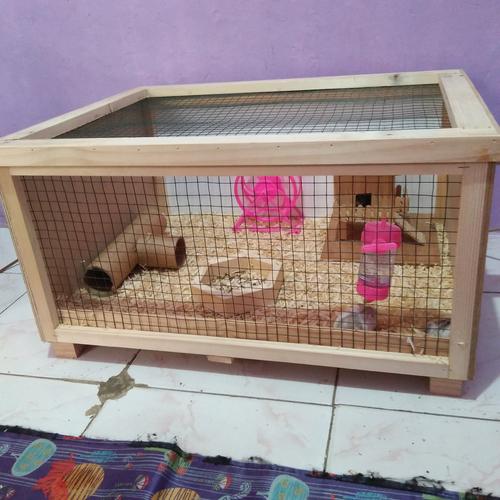 Jual kandang hamster full set besar luas banget 40x60x35 murah - Kota ...
