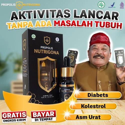 Jual Propolis Nutrigona Asli Obat Batuk, TBC, Sinusitis, Sesak, Asma ...