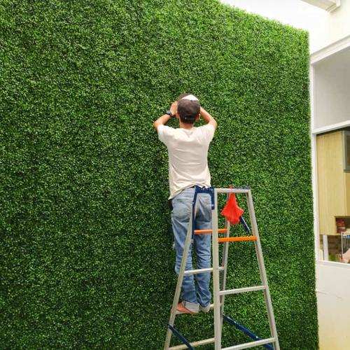 Jual tanaman daun dollar rambat plastik dinding ukuran 60x40cm ...