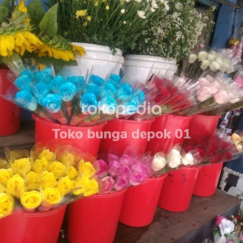 Jual Bunga Mawar Depok potong Asli satuan. Merah, putih, pink - Peach ...