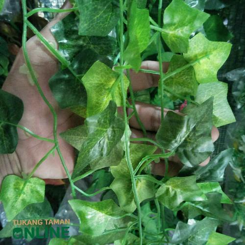 Jual Tanaman Rambat Sintetis Ukuran Kecil Panjang 2 Meter - Kab. Bogor ...