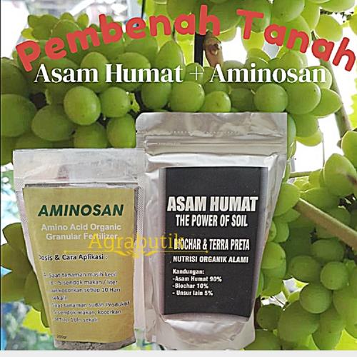 Jual Asam Humat + Aminosan Paket Pembenah Tanah organik tanaman buah ...