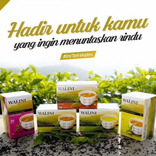 Jual TEH CELUP WALINI AMPLOP RASA BLACK LEMON BLACKCURRANT GREEN LEMON ...