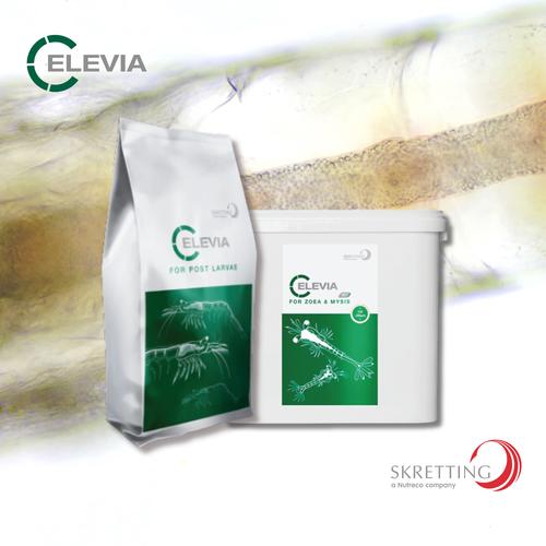 Jual Pakan Pembenihan Udang Skretting, Elevia#3 - Kab. Bekasi - Skretting Indonesia | Tokopedia