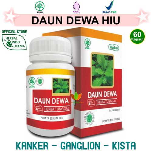 Jual KAPSUL DAUN DEWA HERBAL INDO UTAMA OBAT GANGLION BENJOLAN KANKER ...