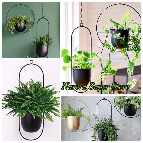 Jual Rak Tanaman Gantung Pot Bunga Besi Cantik Metal Hanging Nayo02 ...