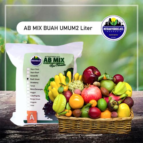 Jual Nutrisi Hidroponik 2L Buah Umum - AB Mix Mitrahydroclass - Kota ...