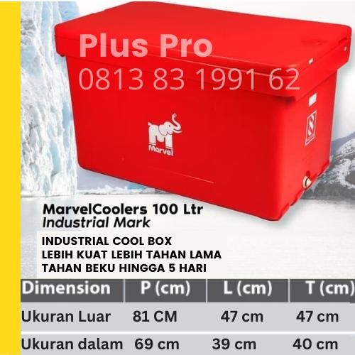 Jual Box Ice Coolbox 100 L Cooler cool box boks es kotak pendingin ...