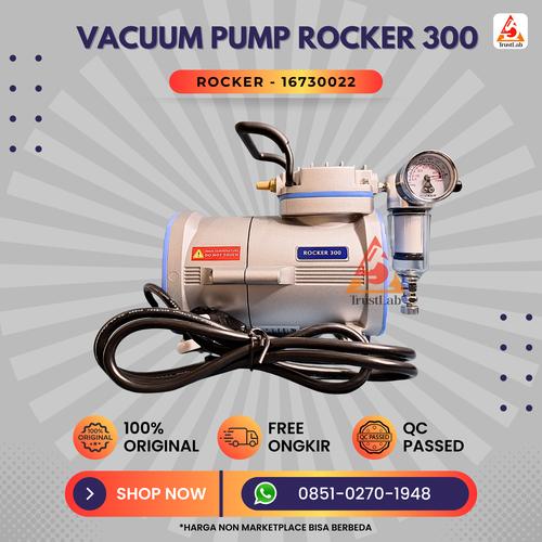 Jual Pompa Vakum Rocker 300 | Oil Free Vacuum Pump Rocker 300 - Kab ...