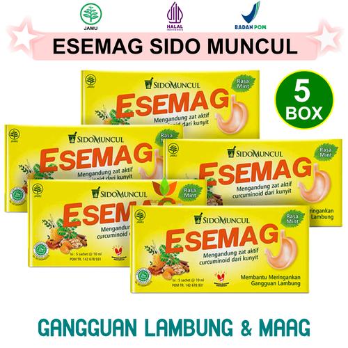 Jual 5 BOX ESEMAG SIDOMUNCUL JAMU OBAT HERBAL ASAM LAMBUNG MAAG GERD ...
