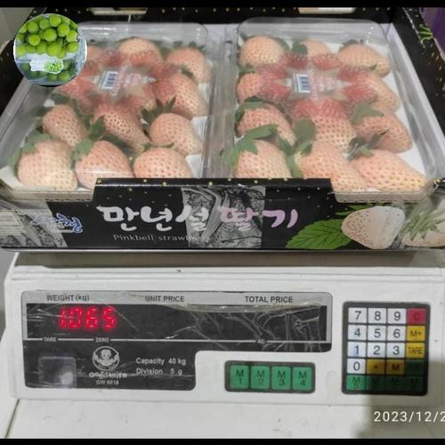 Jual Strawberry korea pink berry l Korean buah fresh per 1 carton - l ...