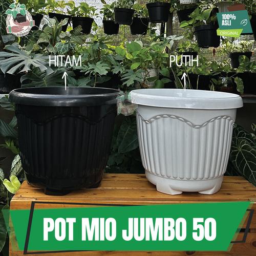 Jual Pot Taman Kebun Besar Pot Bunga Tanaman Hias Shallom Mio 50 Ori ...