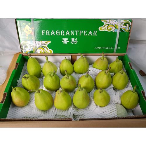 Jual Buah Pear Pir Xiangli 1 Dus (7 KG) Fresh Import - Jakarta Utara ...