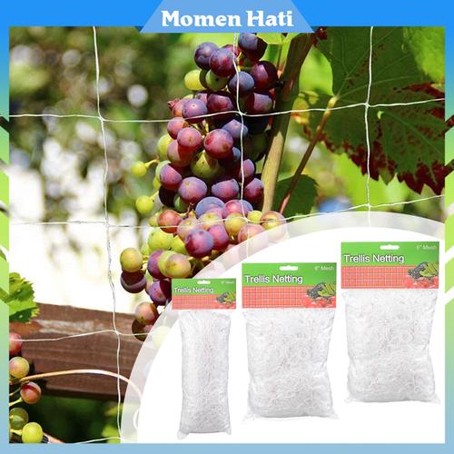 Jual 5m 10m 20m Jaring Pagar Kebun Untuk Tanaman Mentimun Kacang ...