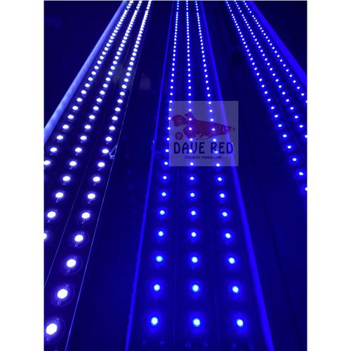 Jual 2 Baris Led HpL 3 watt 150 upLampu Hard Tanning Arwana Super Red ...