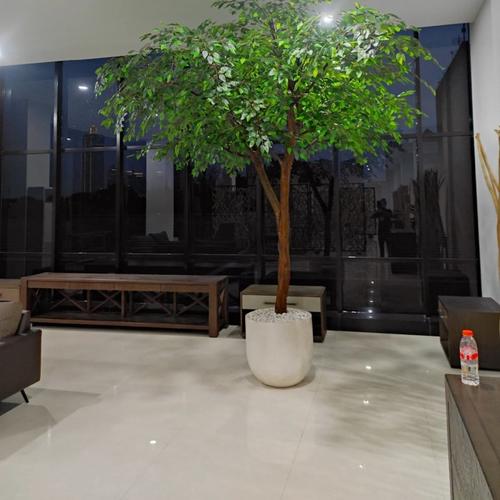 Jual Tanaman Hias Beringin Artificial Custom Pohon Buatan Besar 3 Meter ...