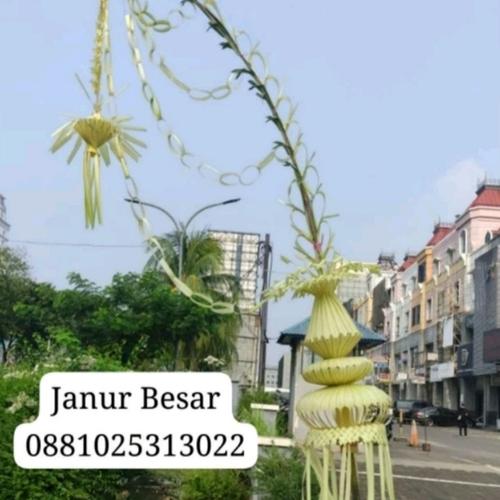 Jual Janur Kuning Janur Nikahan Besar Premium - Kota Tangerang Selatan ...