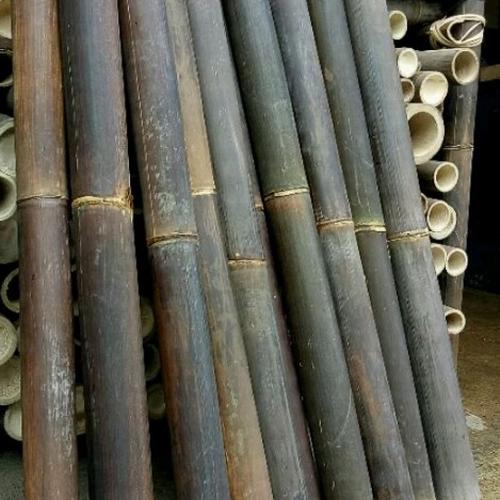 Jual batang bambu hitam 2 meter - Kab. Bogor - ZENI RITTEL | Tokopedia