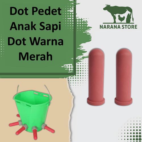 Jual Dot Pedet Anak Sapi Dot Warna Merah - Kota Bandung - Narana Farm ...