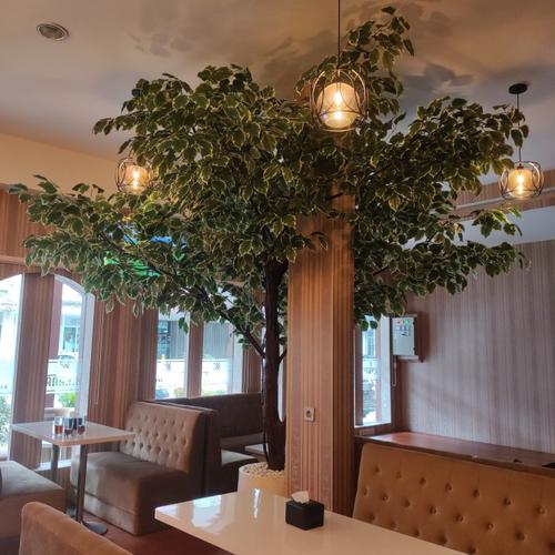 Jual Pohon Sinfu Artificial Buatan Besar 3M Tanaman Hias Sinfu ...