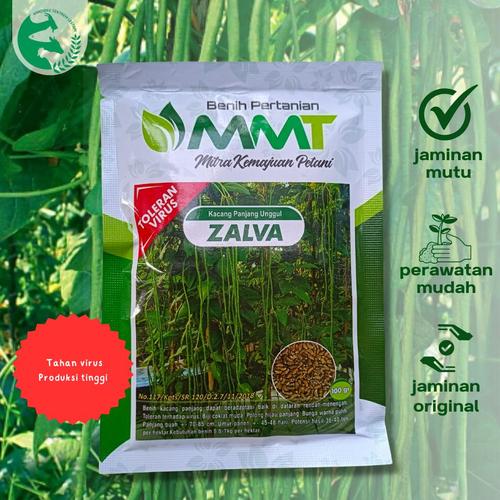 Jual Ready Benih Kacang Panjang Zalva 100 gr Cap MMT Unggul Produksi ...