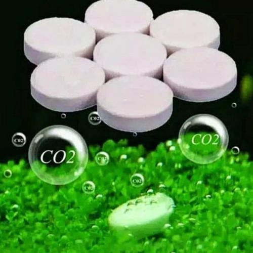 Jual Tablet CO2 Plus Fertilizer pupuk tanaman air Aquascape Aquarium ...