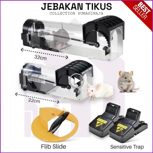 Jual Perangkap Tikus Jebakan Massal Mouse Trap TAFF Kandang Lubang ...