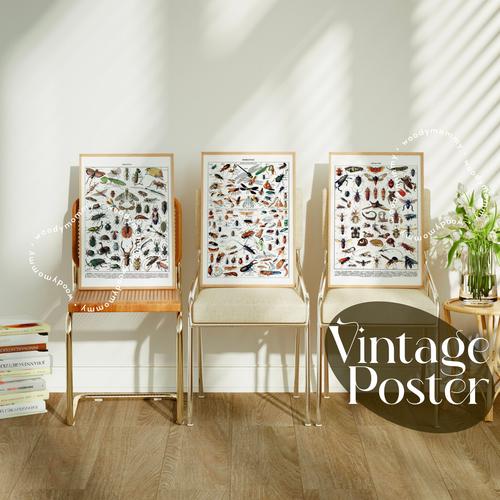 Jual Vintage Poster Serangga - Insects Xylophagous Educational Wall Art ...