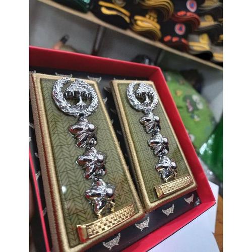 Jual TERBARU! Tanda Pangkat ASN/ PNS Golongan 2D (exclusive) Lapis ...