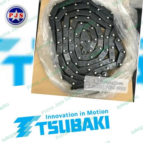 Jual DOUBLE PITCH CHAIN C2040 TSUBAKI RF2040S RANTAI CONVEYOR ROLLER ...