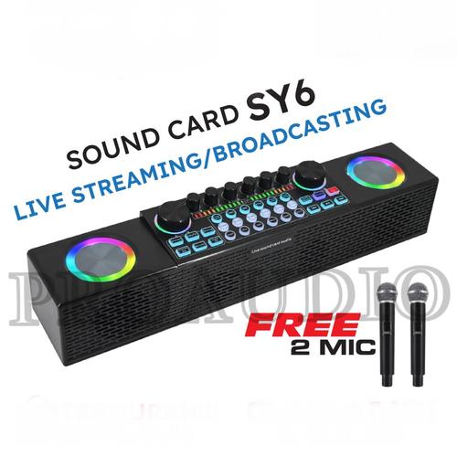 Jual Live Soundcard SY6 Bluetooth Speaker 2 Mic Wireless Microphone ...