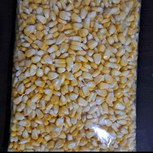 Jual Jagung Manis Pipil Madu / Sweet Kernel Corn Premium 1Kg - Jakarta ...