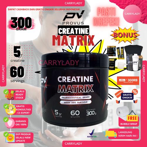 Jual PROVUS CREATINE MATRIX 300 GRAM 60 SERVING 100% ORIGINAL ...
